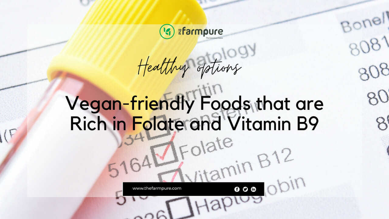 Vegan-friendly Foods That Are Rich In Folate And Vitamin B - The FarmPURE
